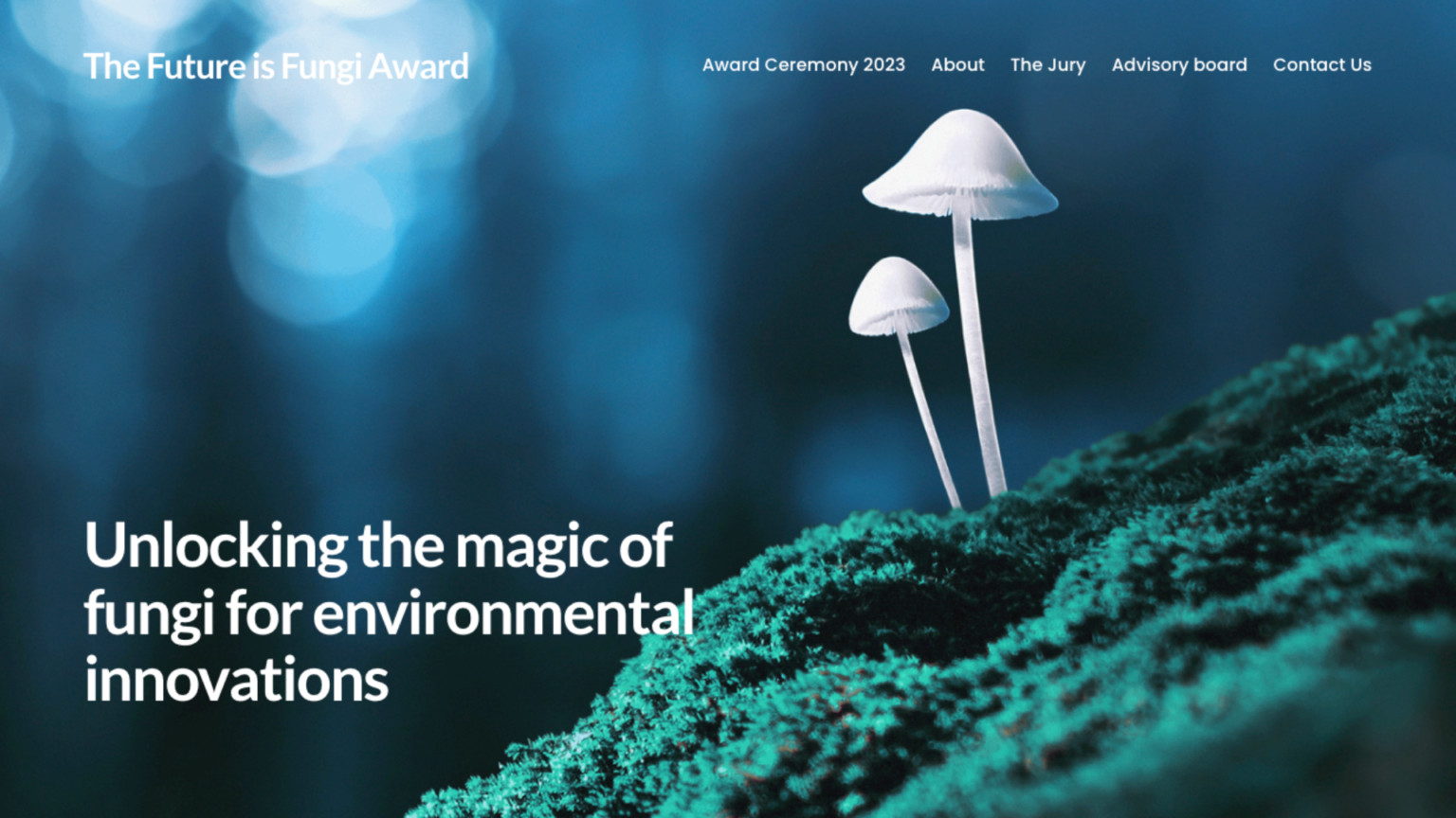 Die Zukunft gehört den Pilzen: Der "Future is Fungi Award" - Planet Pilze